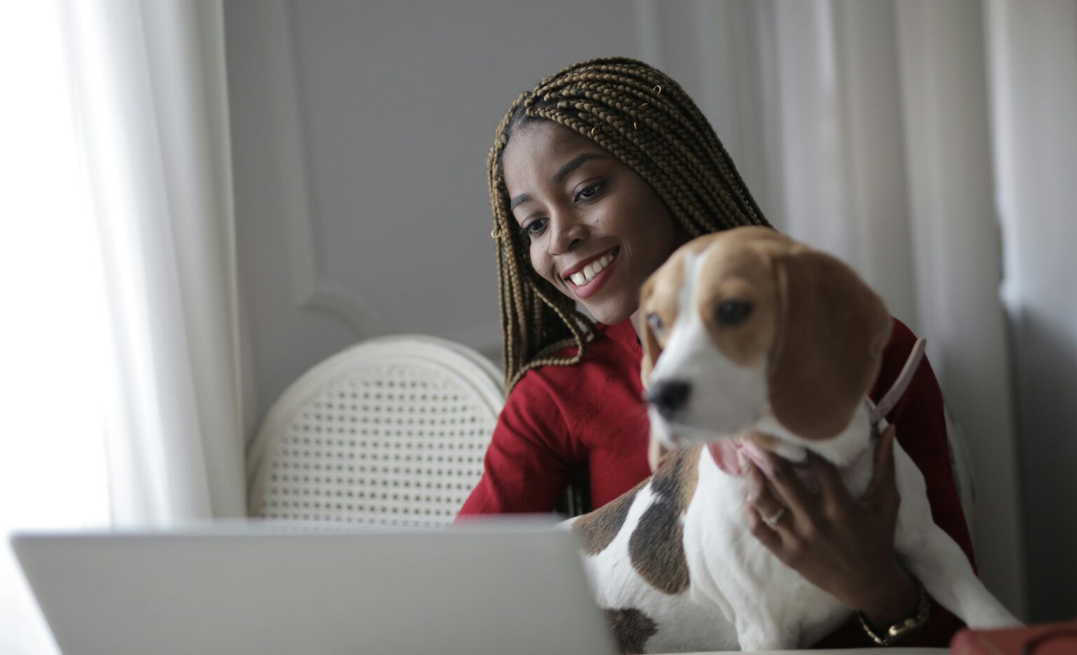 La Domestication du Chien : Histoire et Origines